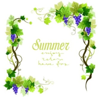 Download Free Summer Grapevine Frame Vector - Free Vector Frame