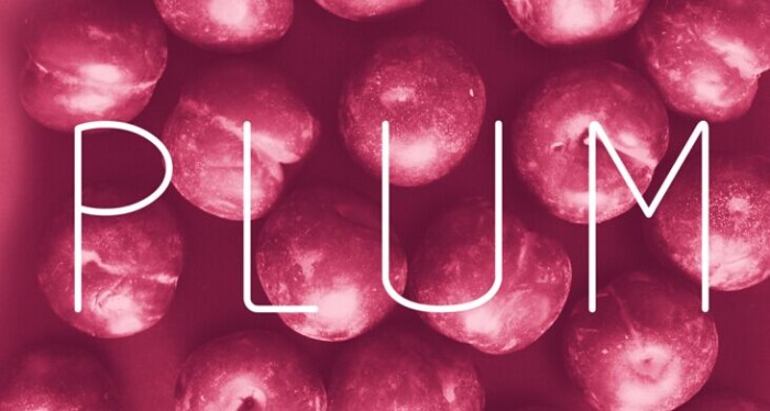 Download Free Plum Display Font - Free Fonts