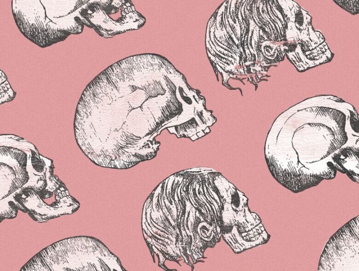 Download Free Creative Skull Design Set Vector - Free Vector Misc