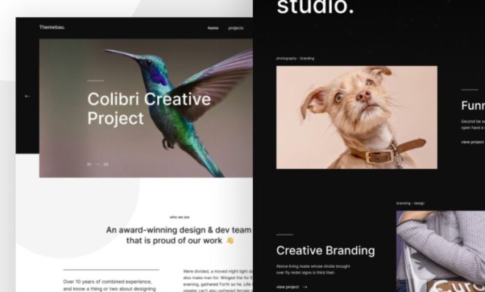 Download Free 9 Professional Portfolio Templates Figma - Free Figma
