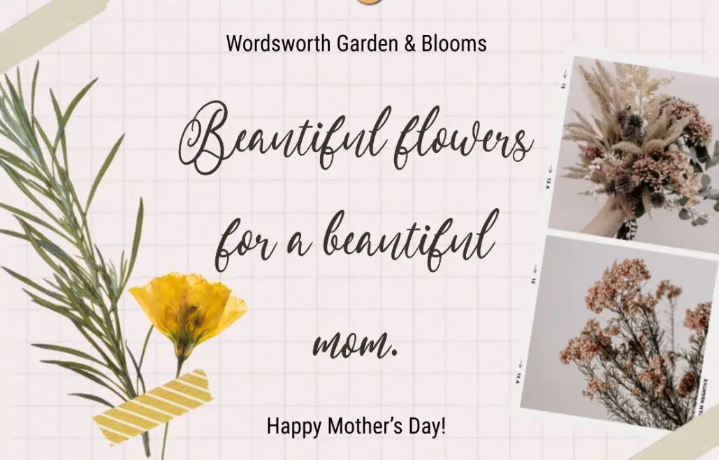 Download Free Simple Handmade Script Font - Free Fonts