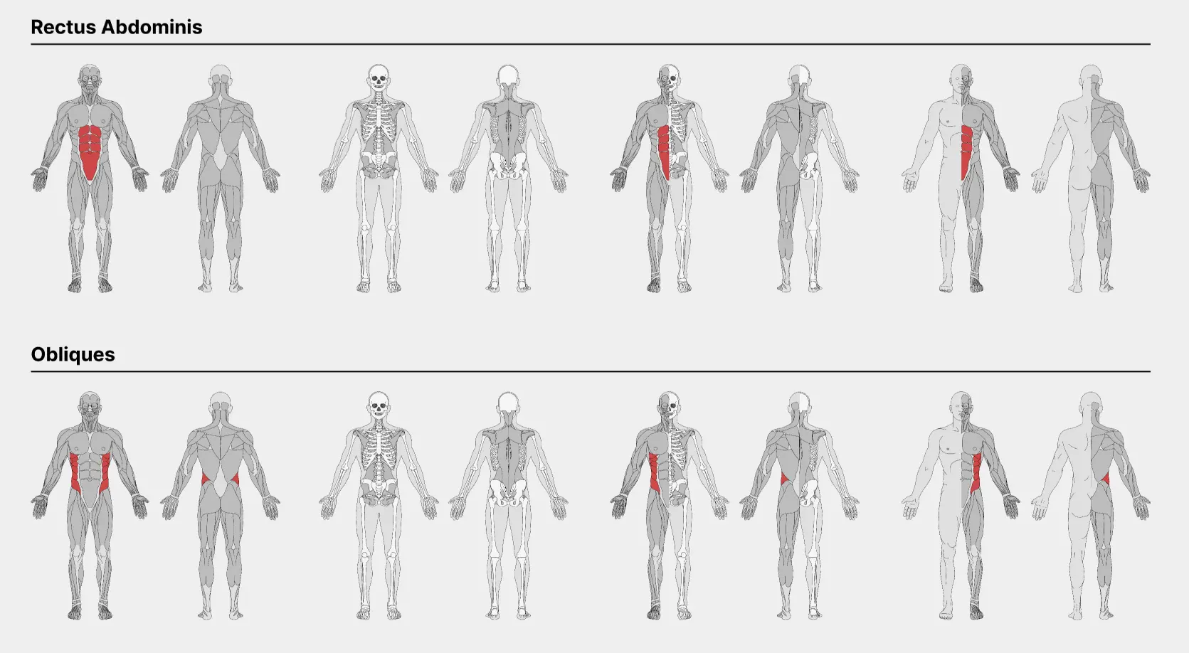 Download Free Human Anatomy Illustrations Pack - Free Figma
